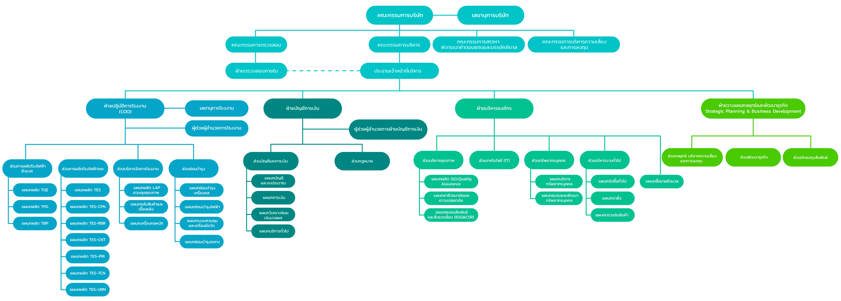 Organization Chart | Thachang Green Energy Public Company Limited (TGE)